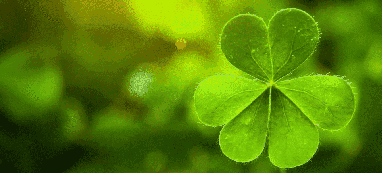 Où passer la Saint-Patrick cette année
